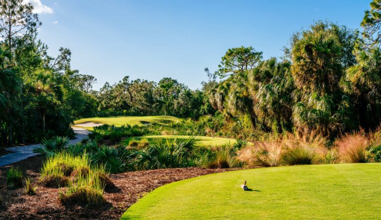 Collier's Reserve Country Club - Naples Golf Homes | Naples Golf Guy