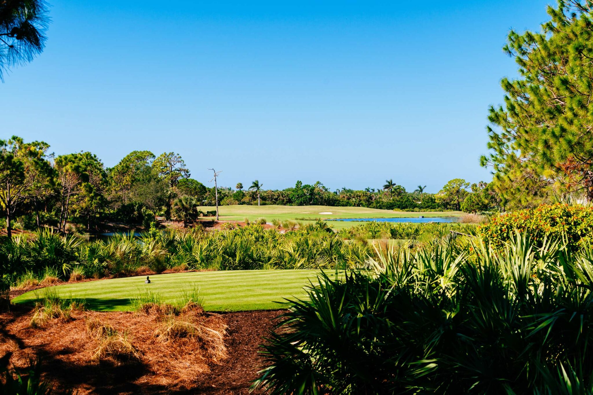 Collier's Reserve Country Club - Naples Golf Homes | Naples Golf Guy