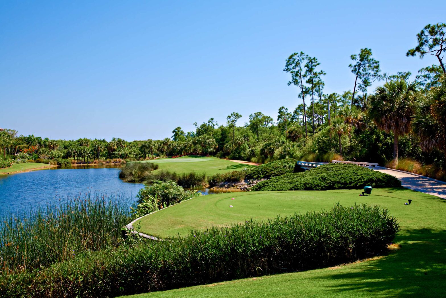 Grey Oaks Country Club - Naples Golf Homes | Naples Golf Guy