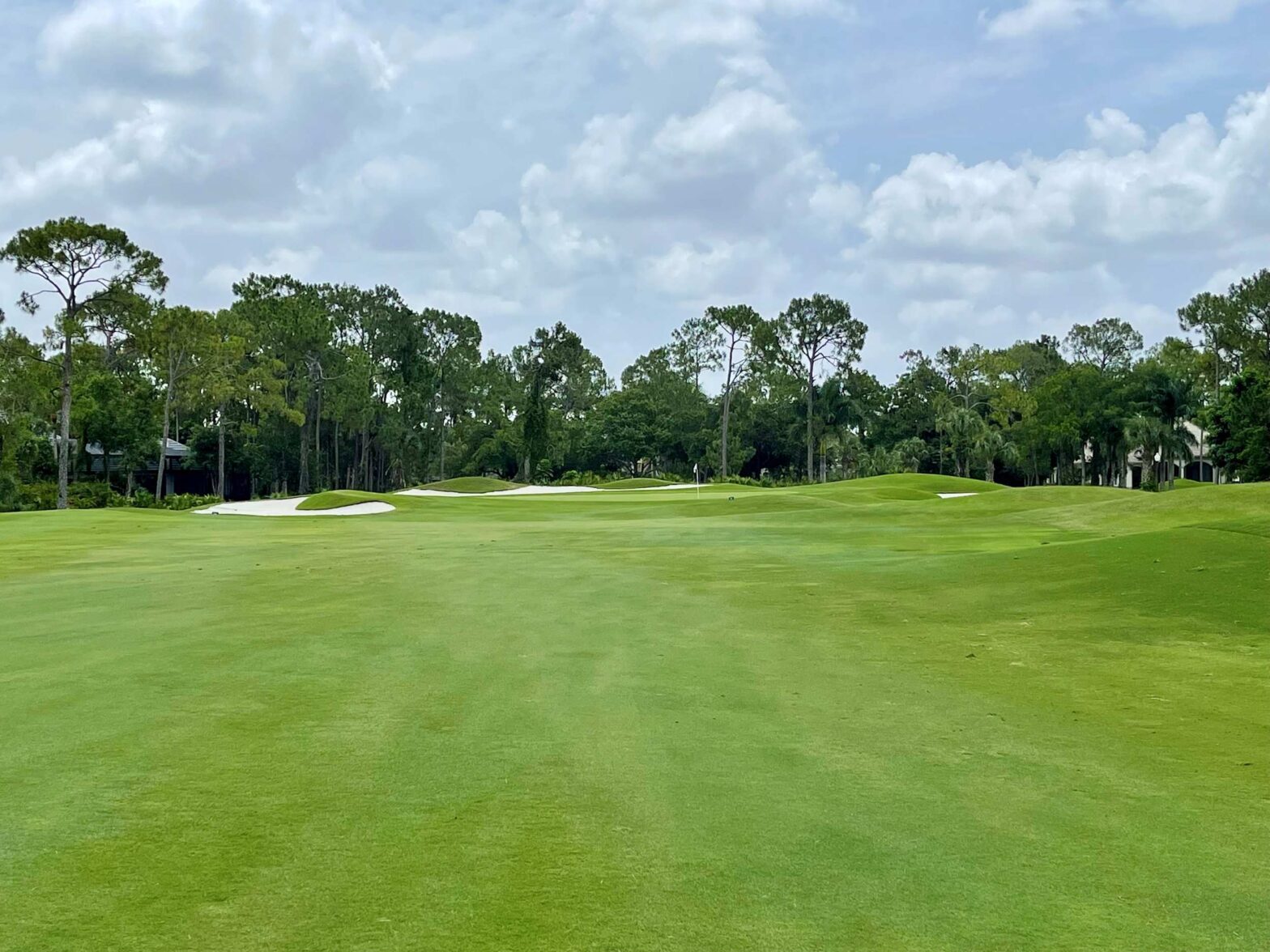 Grey Oaks Country Club - Naples Golf Guy