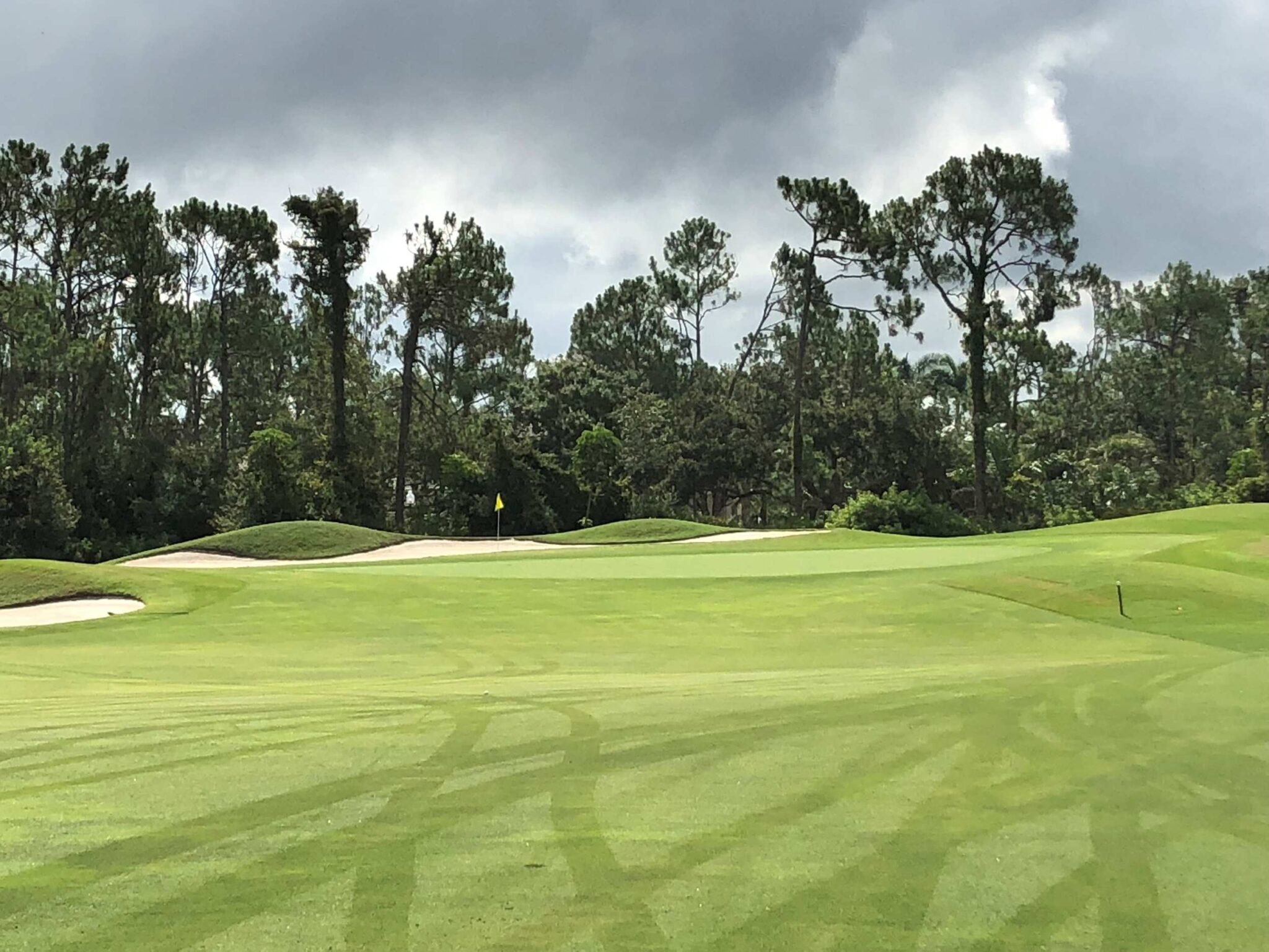 Grey Oaks Country Club - Naples Golf Guy