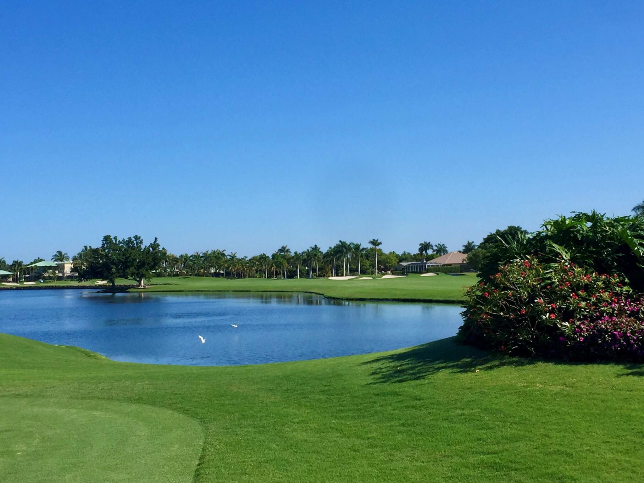 Island Country Club - Naples Golf Homes | Naples Golf Guy