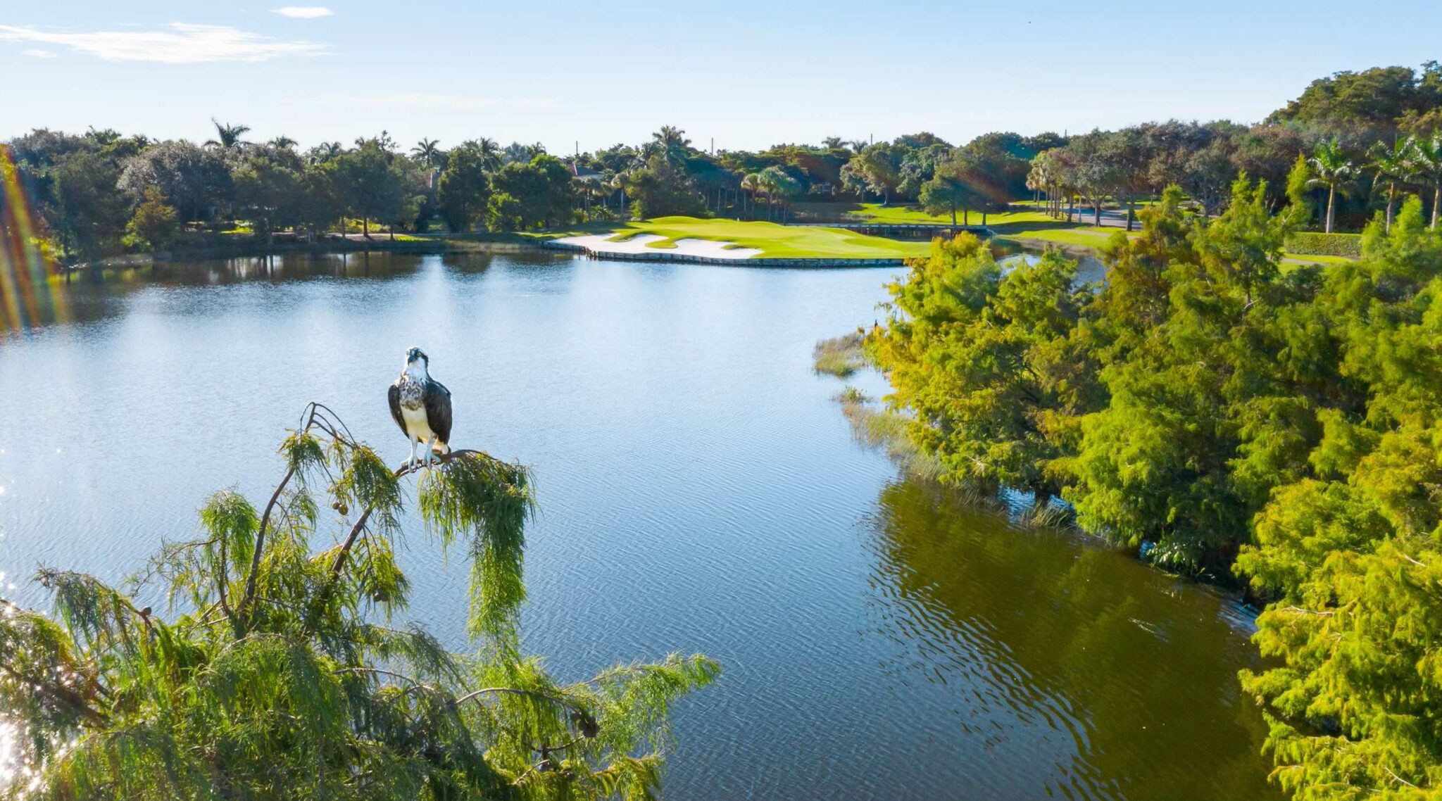 Pelican Marsh Golf Club - Naples Golf Guy