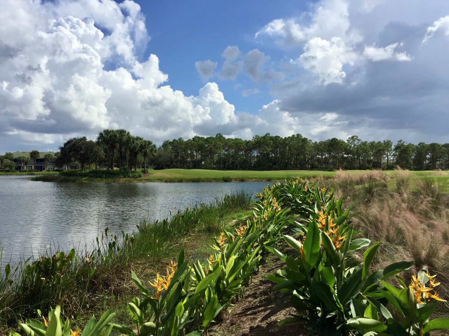 Spring Run Golf Club - Naples Golf Homes | Naples Golf Guy