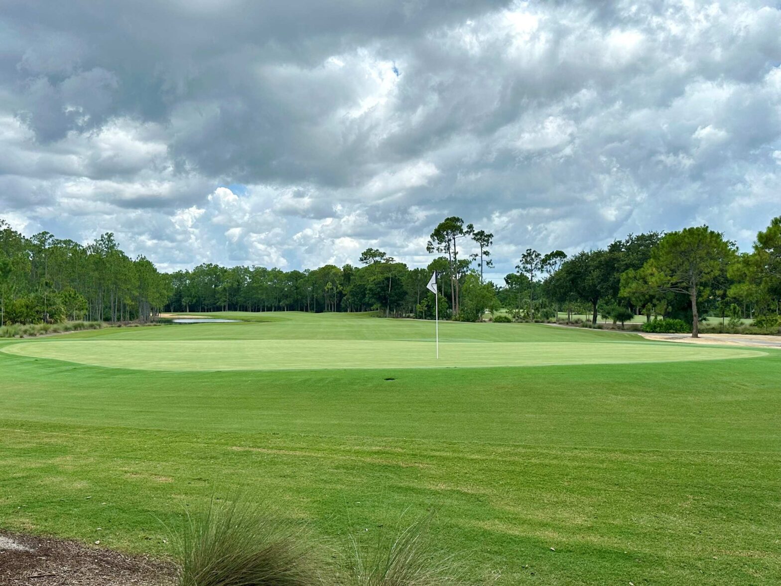 Tiburón Golf Club - Naples Golf Homes | Naples Golf Guy