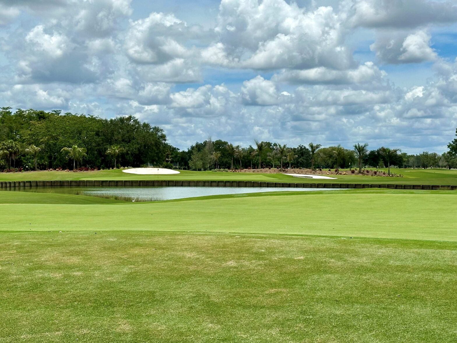 Vineyards Country Club - Naples Golf Homes | Naples Golf Guy