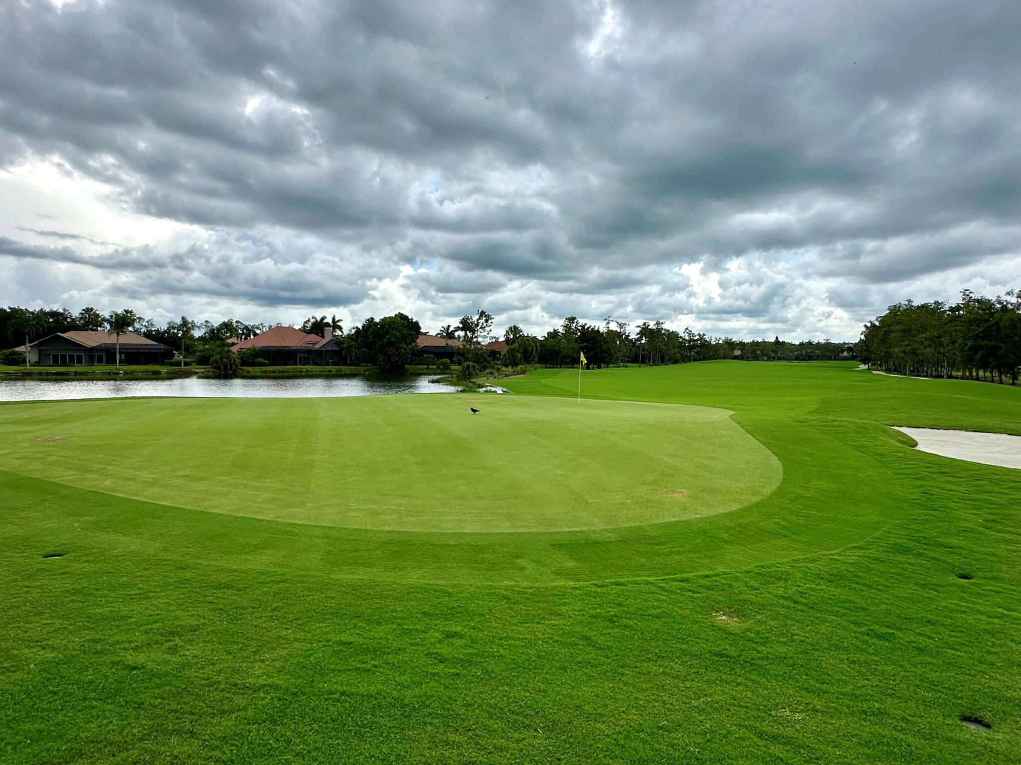 Wildcat Run - Naples Golf Homes | Naples Golf Guy