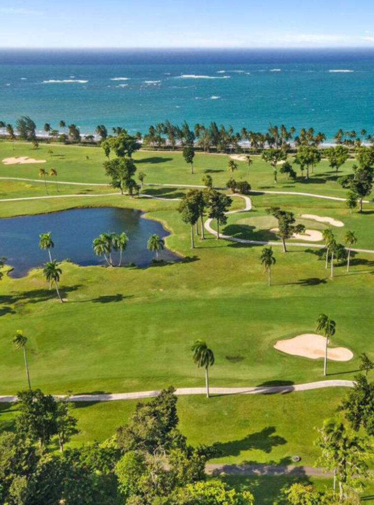 Buying real estate - Naples Golf Homes | Naples Golf Guy