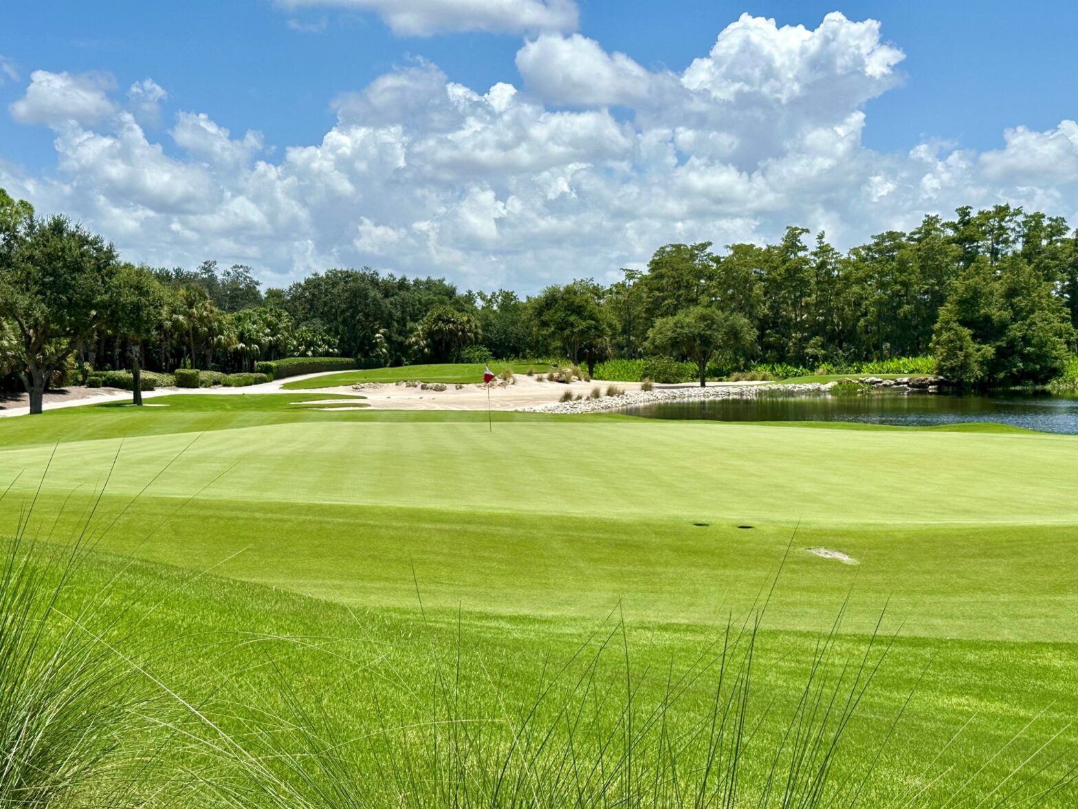 Mediterra - Naples Golf Homes | Naples Golf Guy