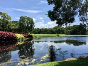 Pelican Bay - Naples Golf Homes | Naples Golf Guy