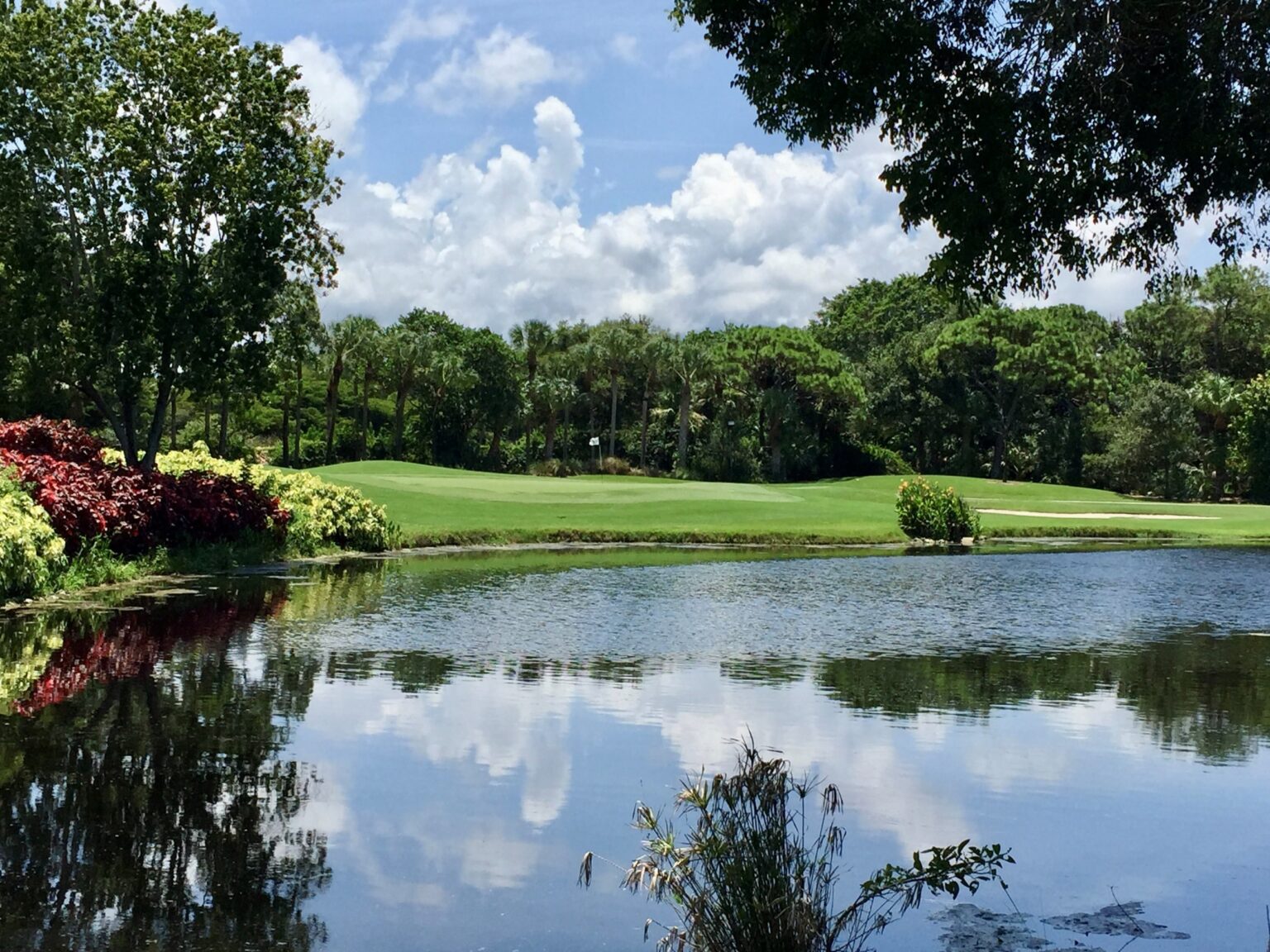 Pelican Bay - Naples Golf Homes | Naples Golf Guy