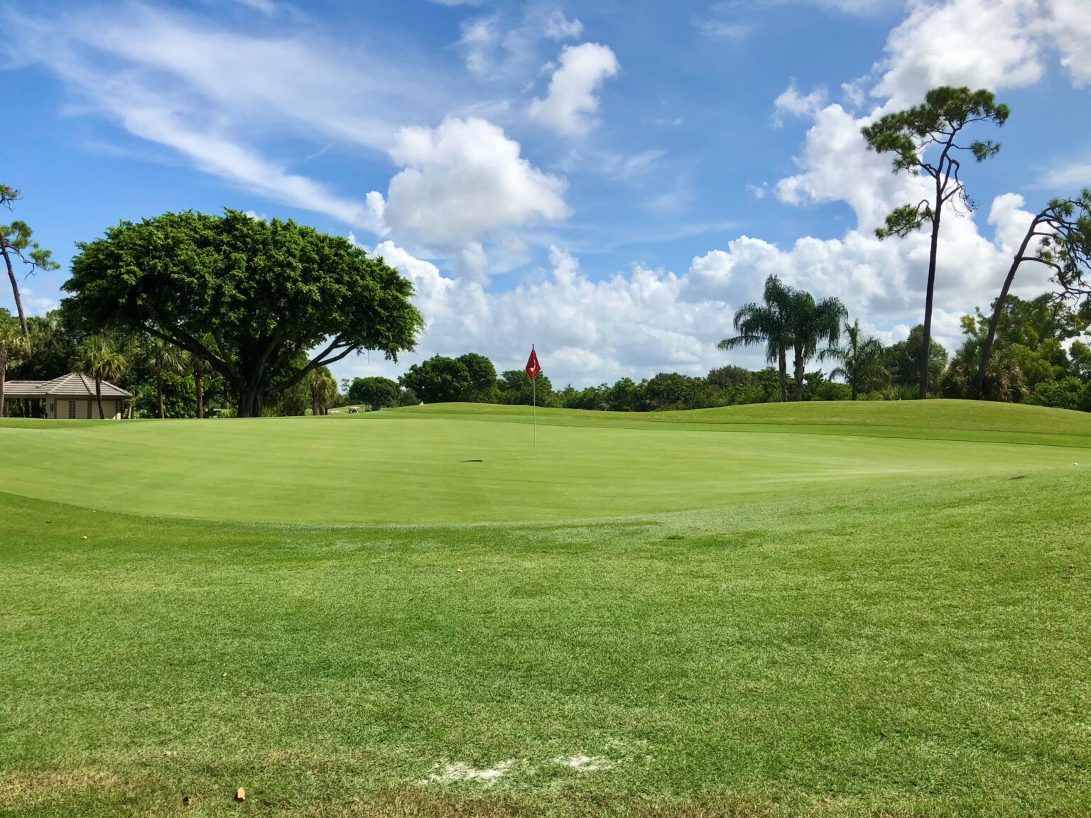 Royal Poinciana Golf Club - Naples Golf Homes | Naples Golf Guy