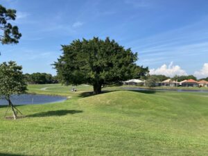 Pelican Pointe Golf Club - Naples Golf Homes | Naples Golf Guy