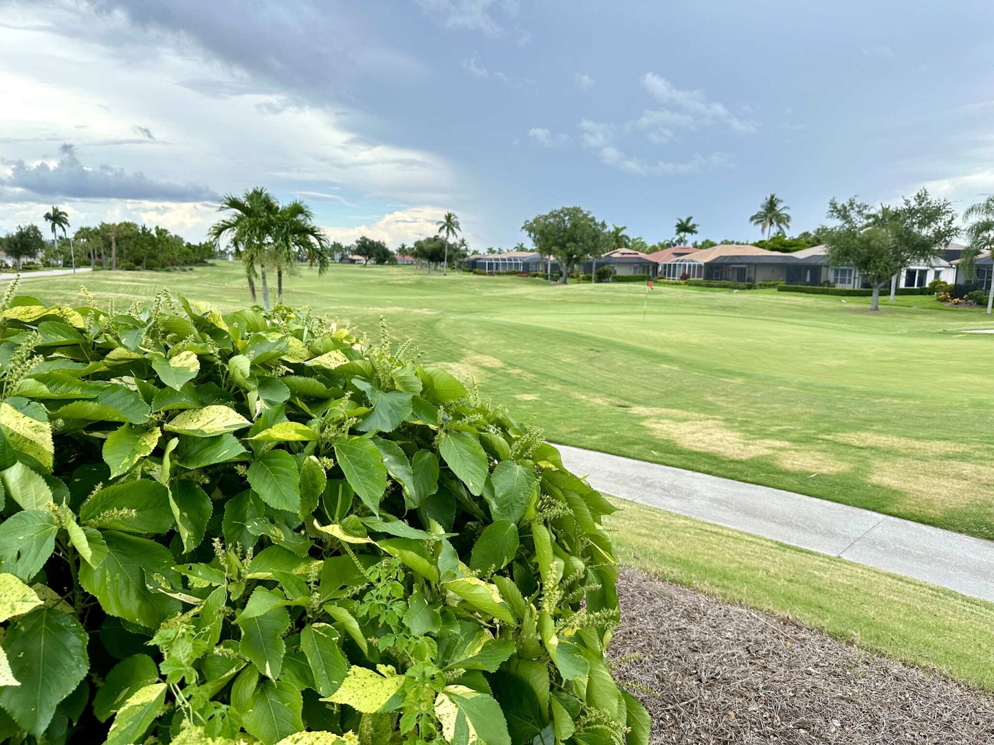 Lexington Country Club - Naples Golf Guy
