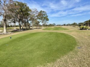 Myakka Pines Golf Club- Naples Golf Homes | Naples Golf Guy