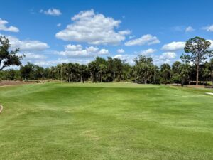 Shadow Wood Preserve - Naples Golf Homes | Naples Golf Guy